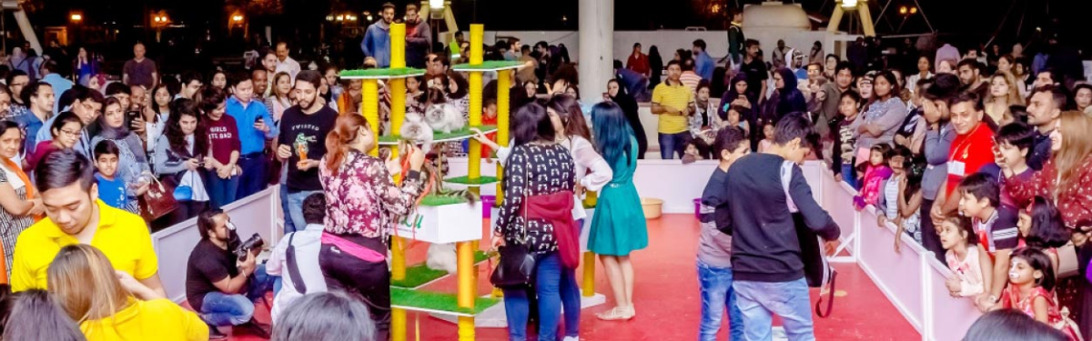 Meow Day 2018 - Visit Bahrain